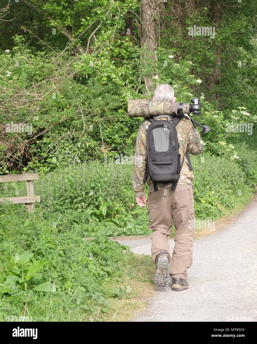 May 2018 - People at Ham Wall, RSPB Nature reserve in Somerset, on the ...