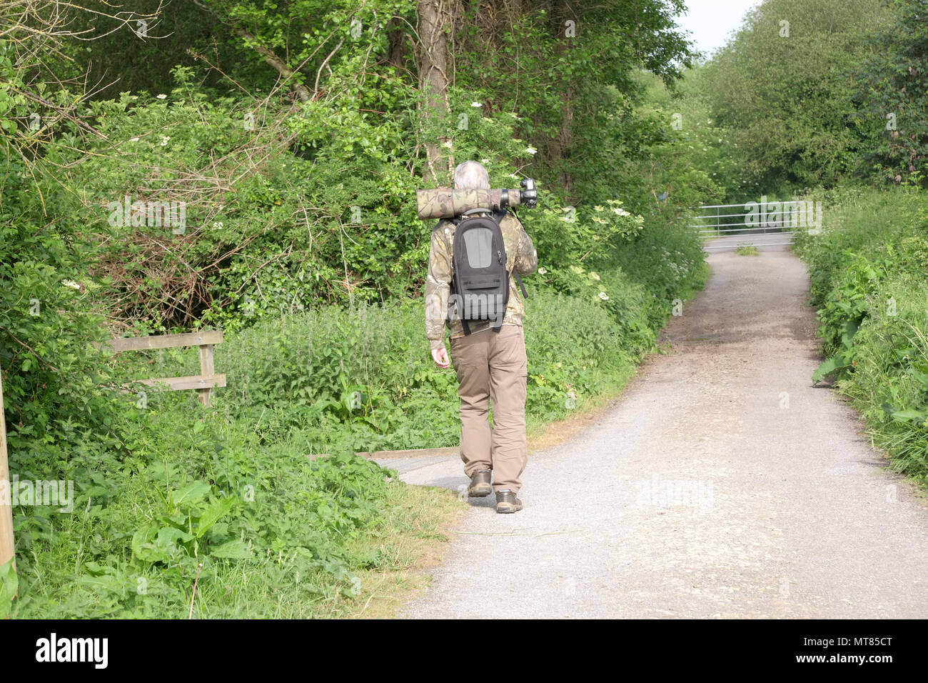 May 2018 - People at Ham Wall, RSPB Nature reserve in Somerset, on the ...