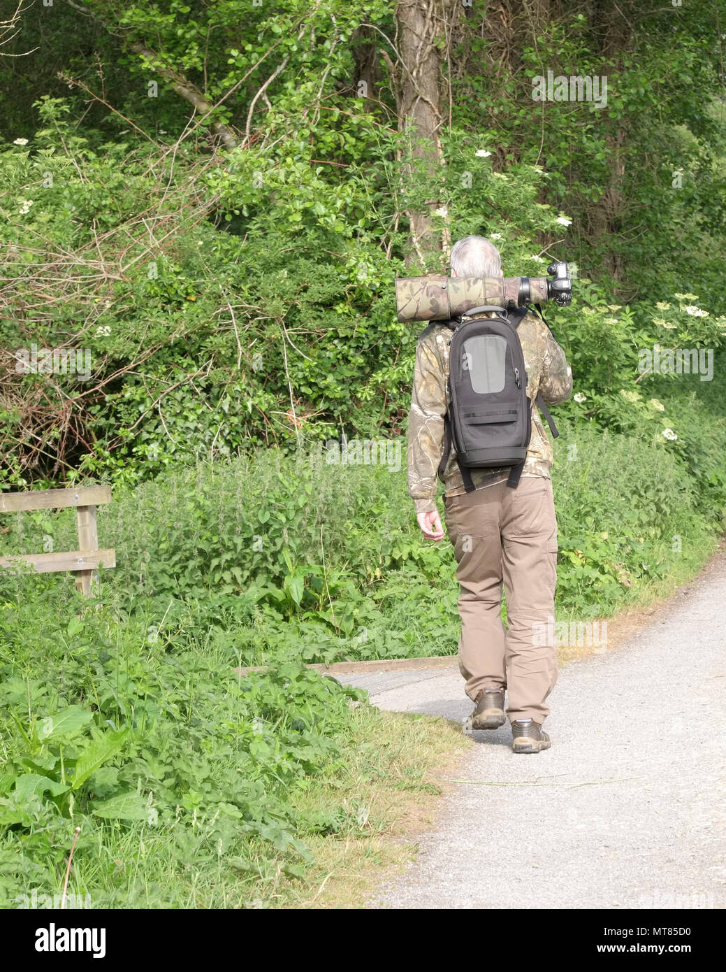 May 2018 - People at Ham Wall, RSPB Nature reserve in Somerset, on the ...