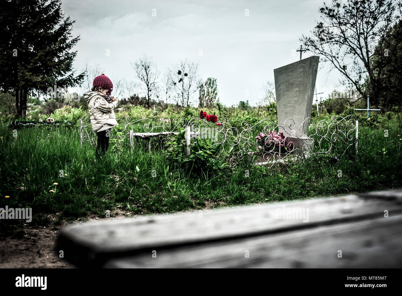 a little girl near grave in the cemetery Stock Photo - Alamy
