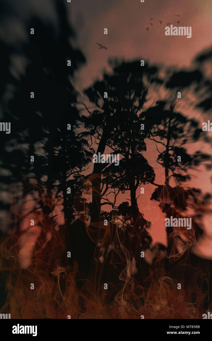 Fire composite hi-res stock photography and images - Alamy