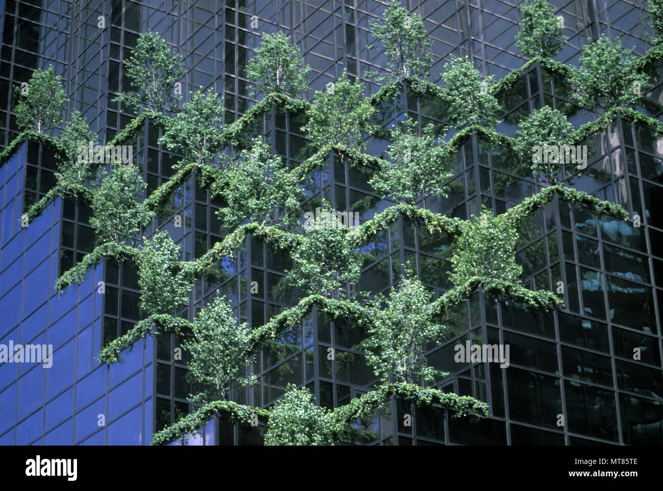 1988 HISTORICAL GARDEN TERRACES TRUMP TOWER FIFTH AVENUE MIDTOWN ...