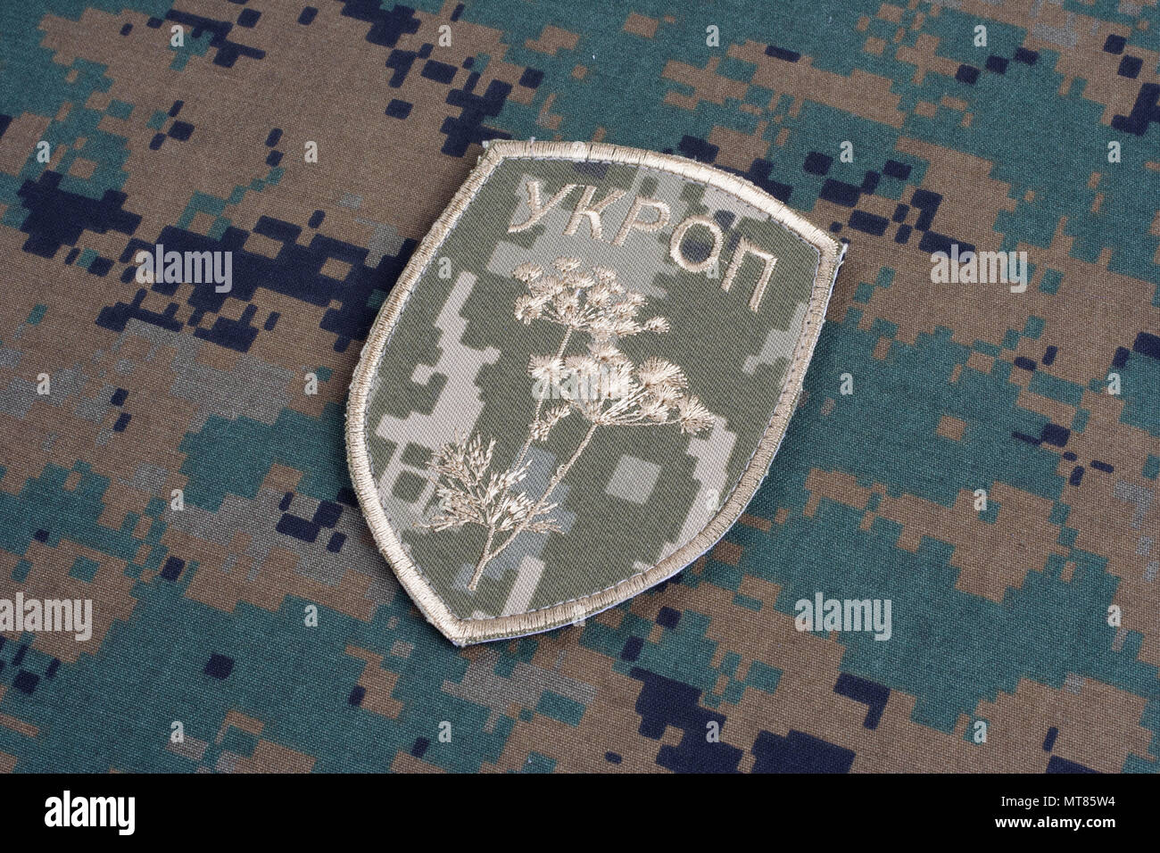 KIEV, UKRAINE - July, 16, 2015. Ukraine Army unofficial uniform badge ...