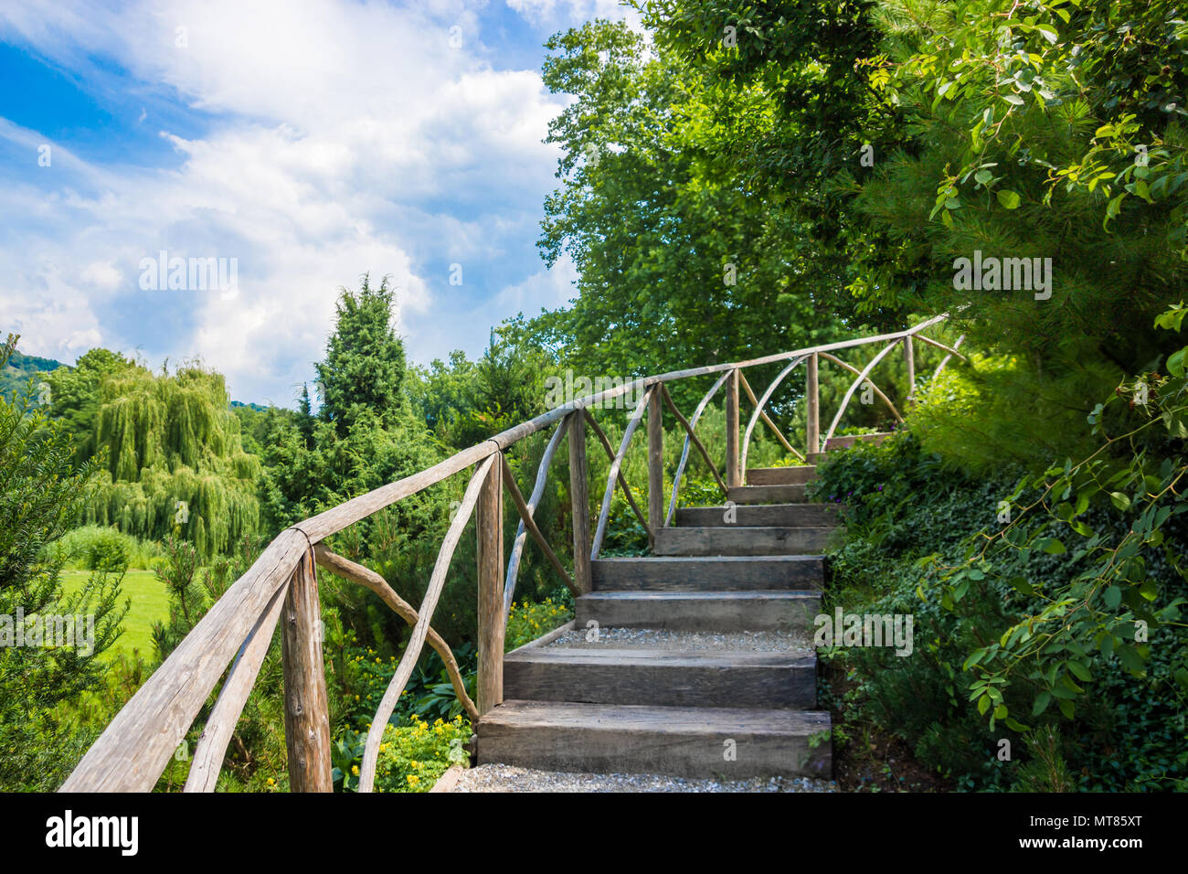 Stairs trees forest hi-res stock photography and images - Alamy