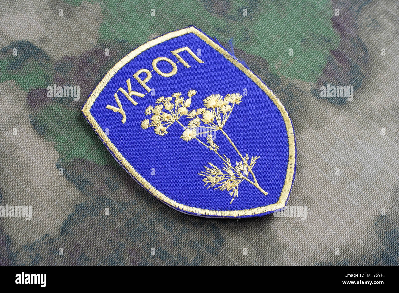 KIEV, UKRAINE - July, 16, 2015. Ukraine Army unofficial uniform badge ...