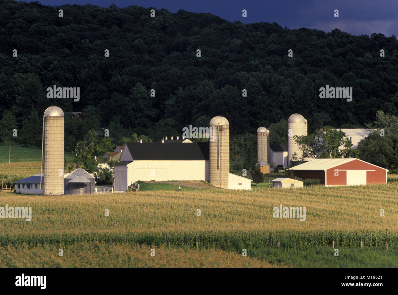 Pennsylvania century farm hi-res stock photography and images - Alamy