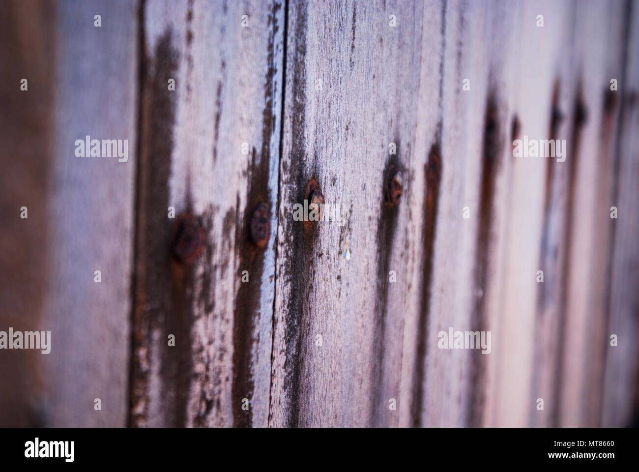 Door Nails High Resolution Stock Photography and Images - Alamy