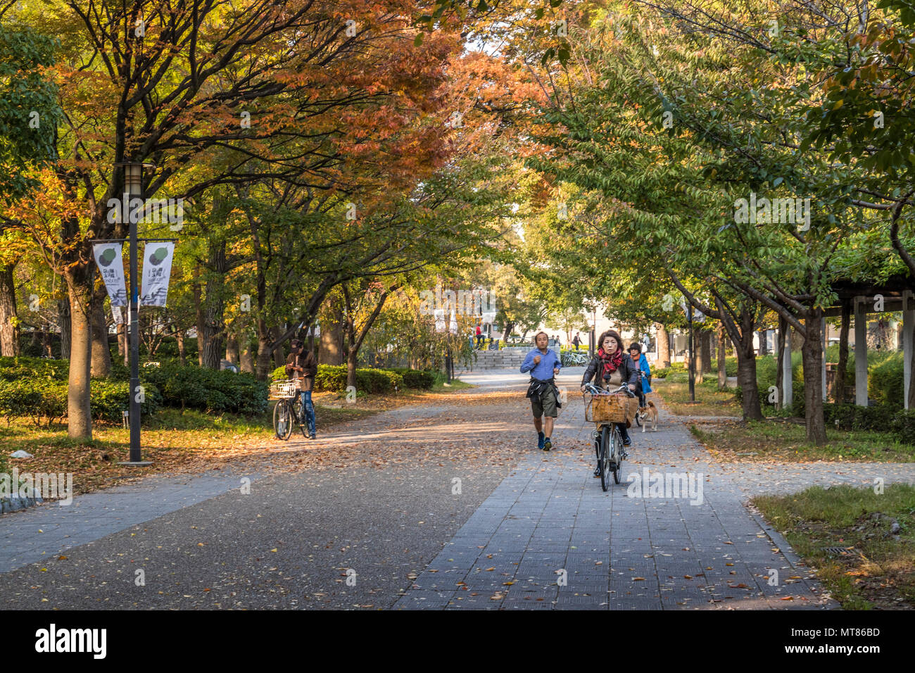 Walking and cycling paths hi-res stock photography and images - Alamy
