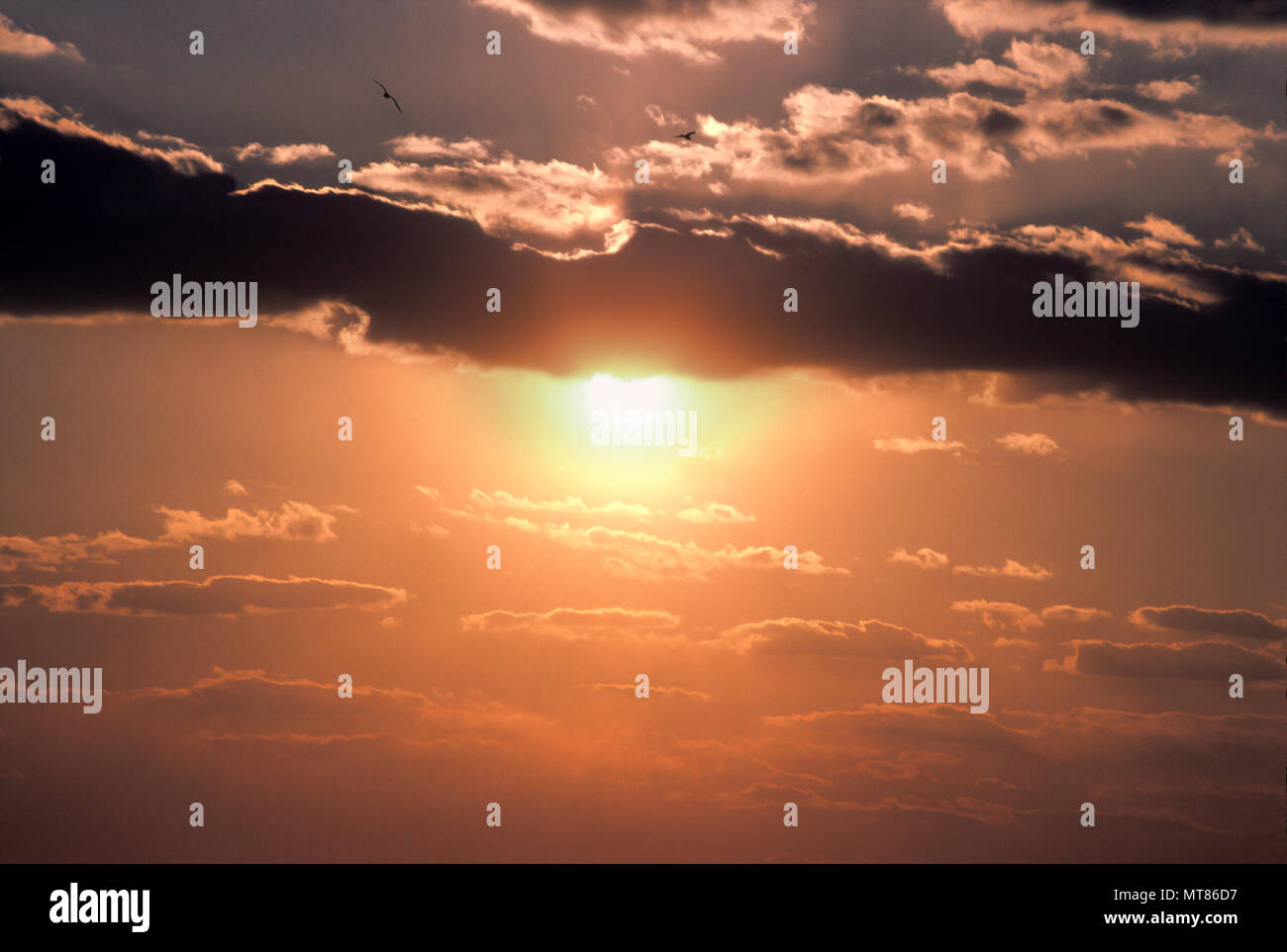 1980s sunset hi-res stock photography and images - Alamy