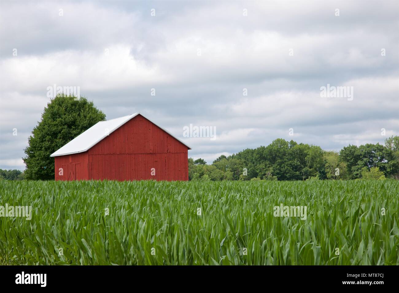 Iconic rural scenes of Midwest USA farm landscapes Stock Photo - Alamy