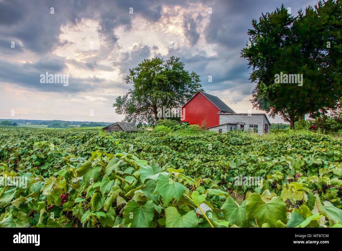 Iconic rural scenes of Midwest USA farm landscapes Stock Photo - Alamy