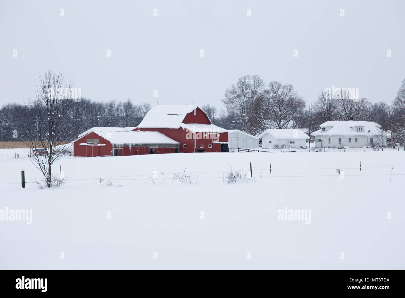 Iconic rural scenes of Midwest USA farm landscapes Stock Photo - Alamy