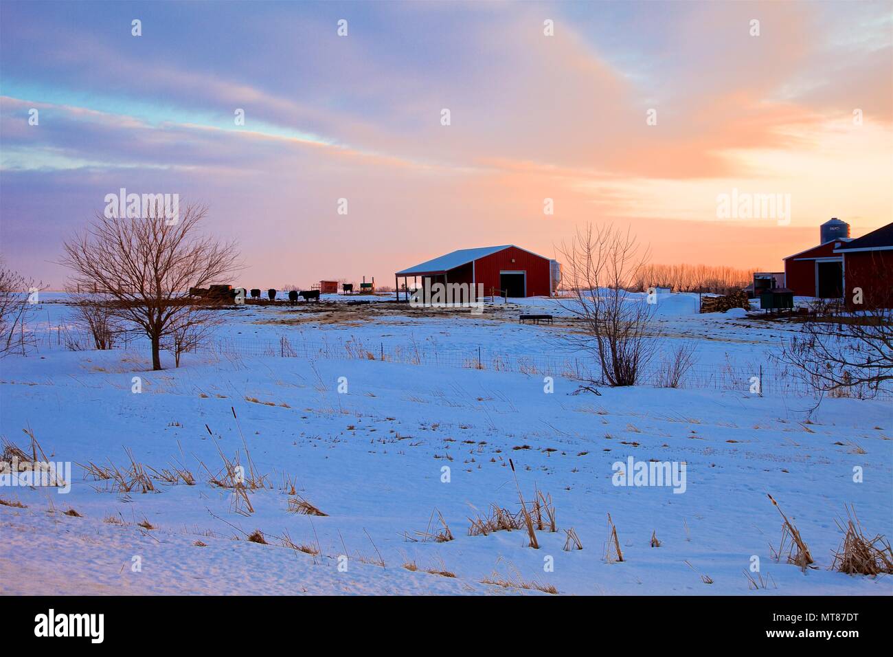 Iconic rural scenes of Midwest USA farm landscapes Stock Photo - Alamy