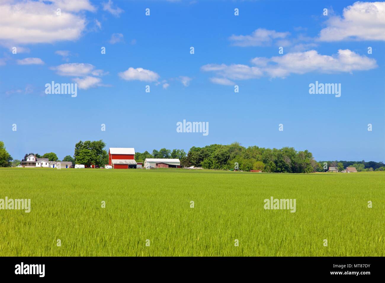Iconic rural scenes of Midwest USA farm landscapes Stock Photo - Alamy