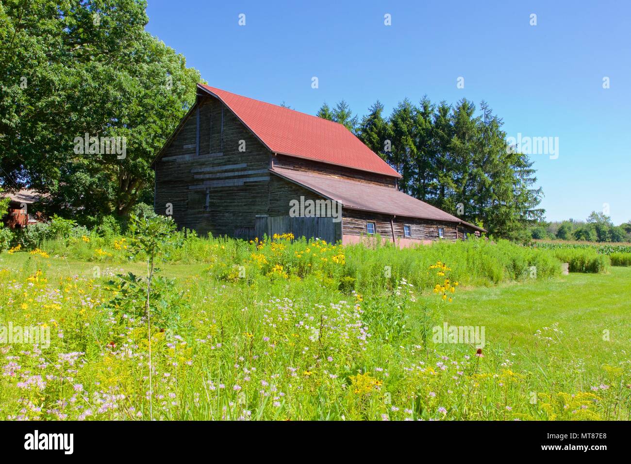Iconic rural scenes of Midwest USA farm landscapes Stock Photo - Alamy