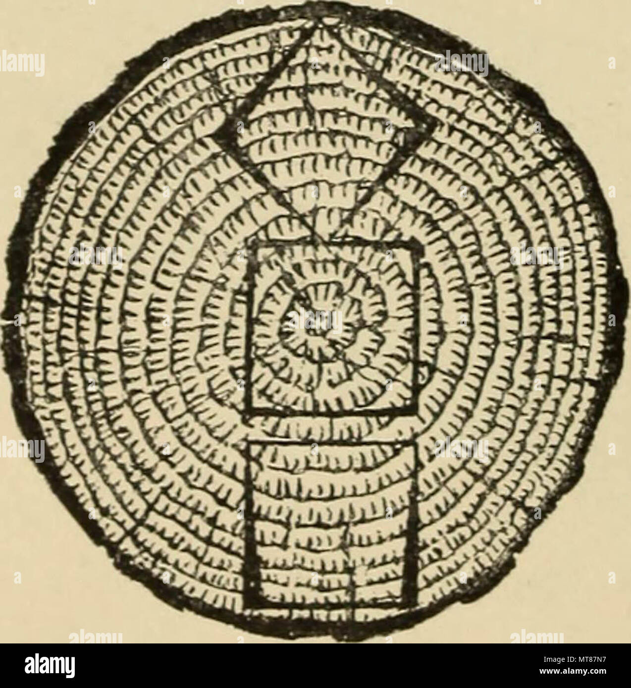 Woodworking history historical hi-res stock photography and images - Alamy
