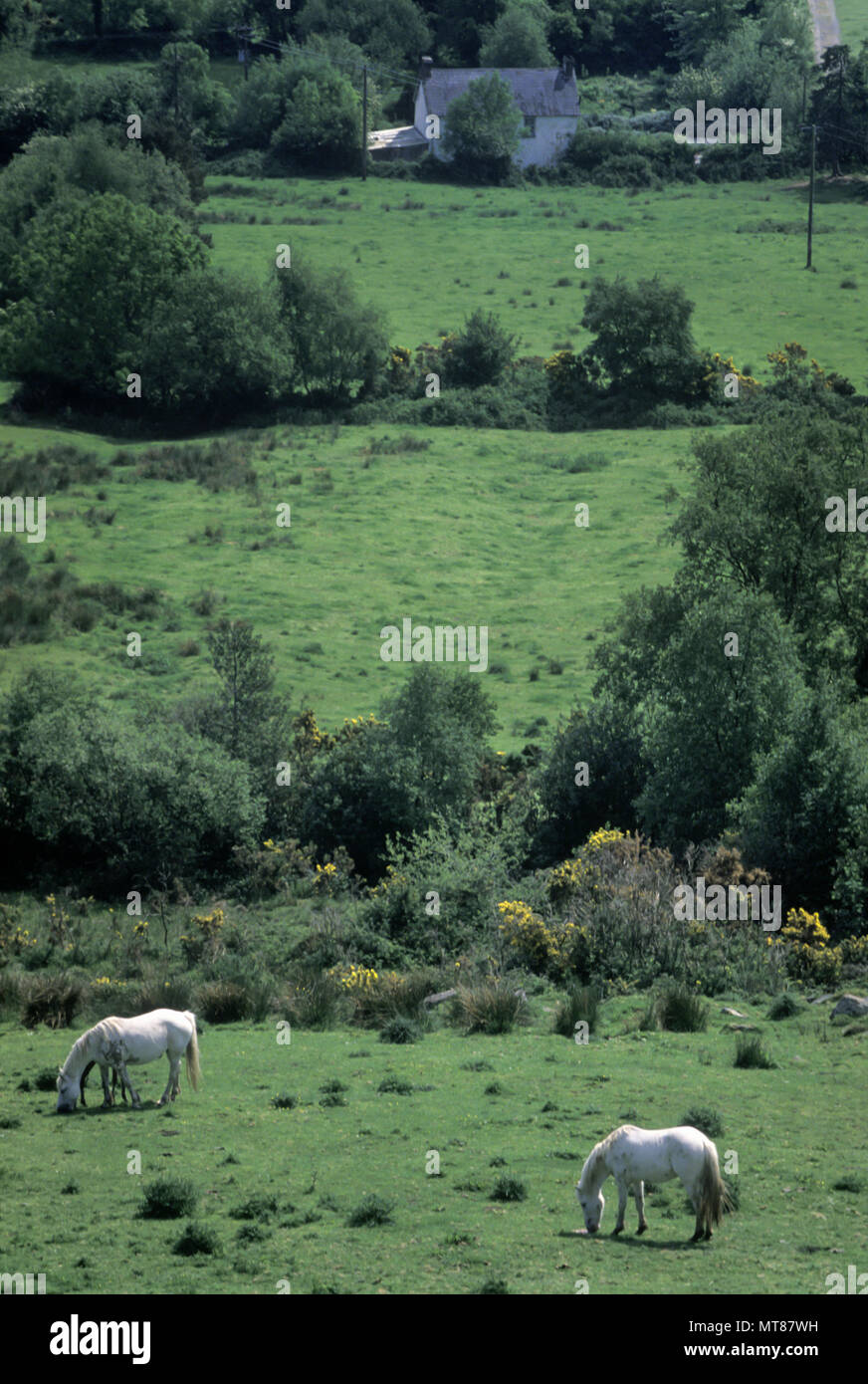 Glen Of Aherlow Tipperary Stock Photos & Glen Of Aherlow Tipperary ...