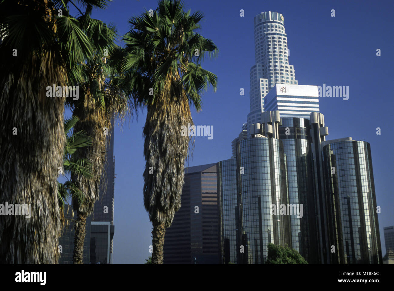 1990 HISTORICAL PALM TREES DOWNTOWN SKYLINE LOS ANGELES CALIFORNIA USA ...