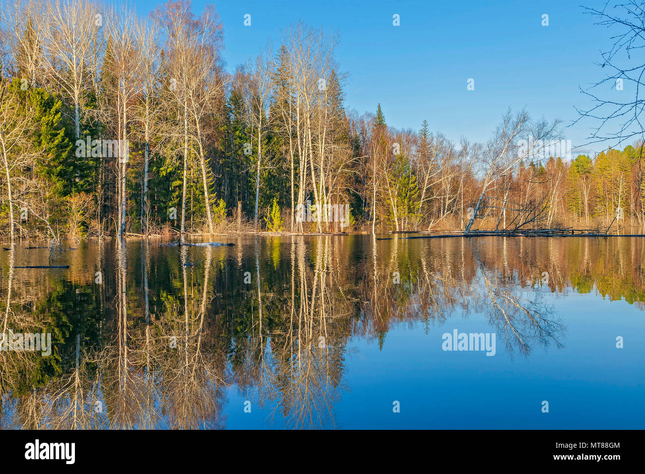 Siberian spring sunset landscape hi-res stock photography and images ...