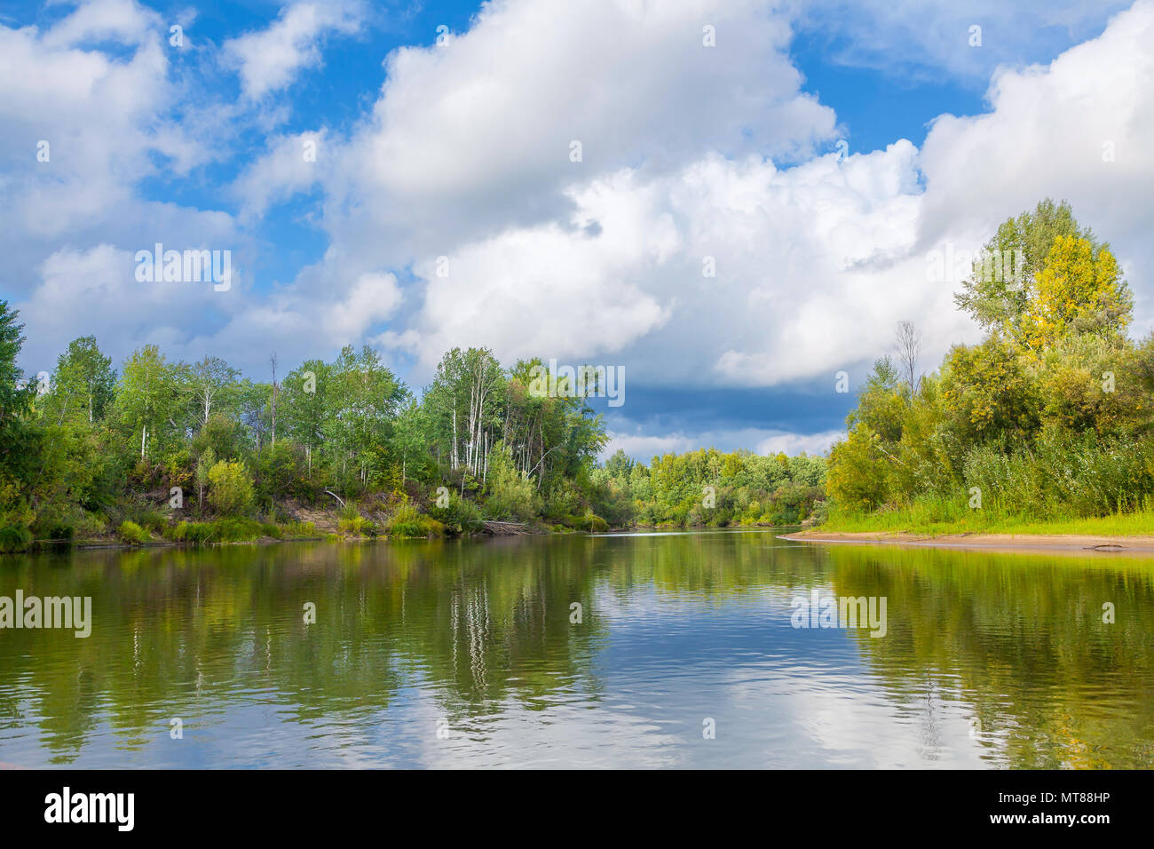 Summer in Siberia Stock Photo - Alamy