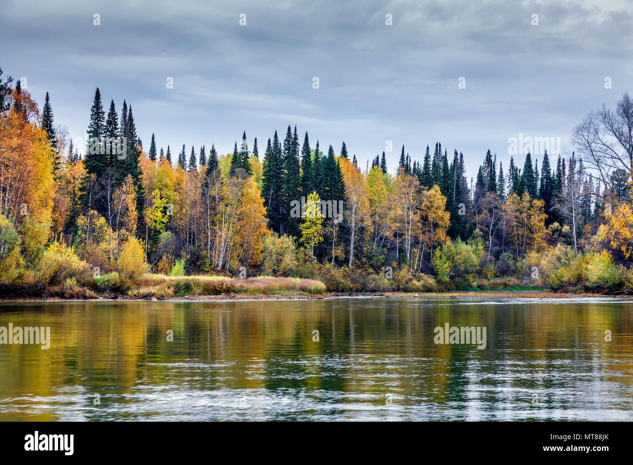 Autumn in Siberia Stock Photo - Alamy