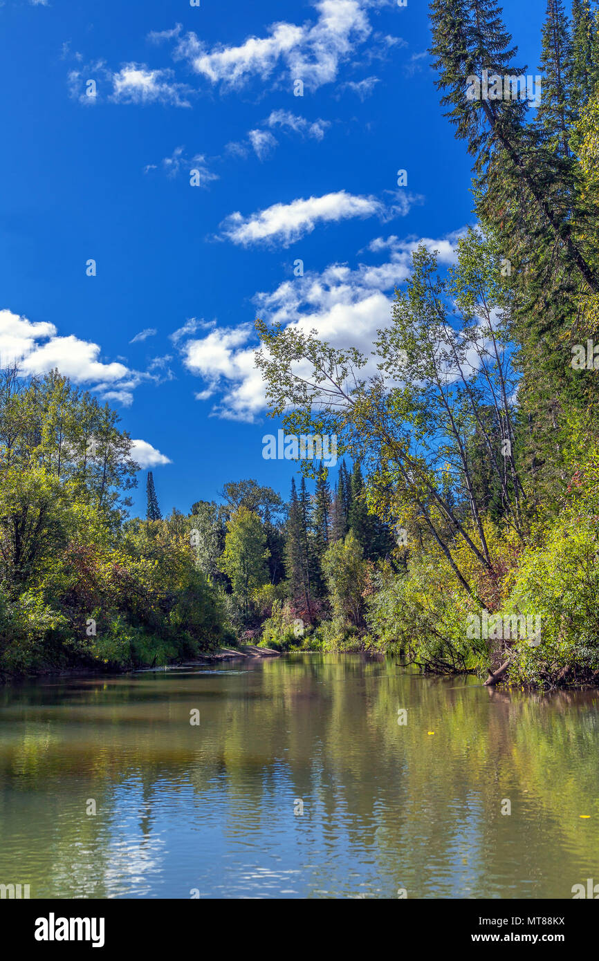 Summer in Siberia Stock Photo - Alamy