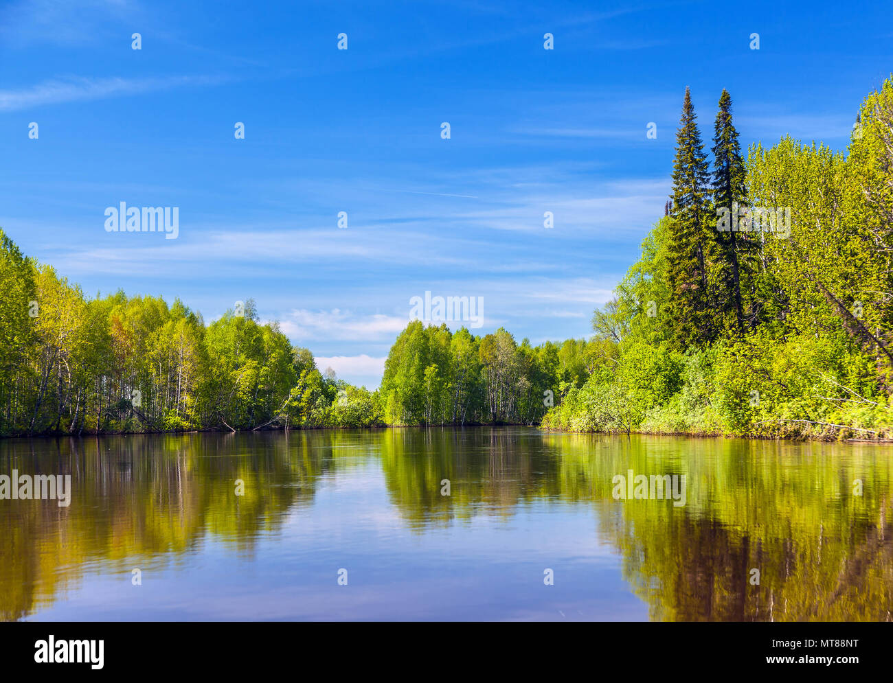 Beautiful nature in summer russia hi-res stock photography and images ...