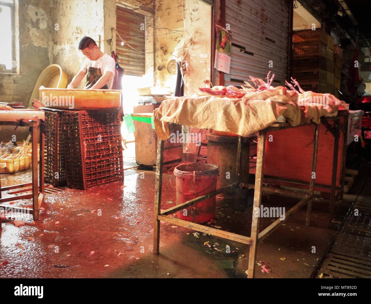 Market stall holder washing chicken on his stall in Hangzhou, China ...