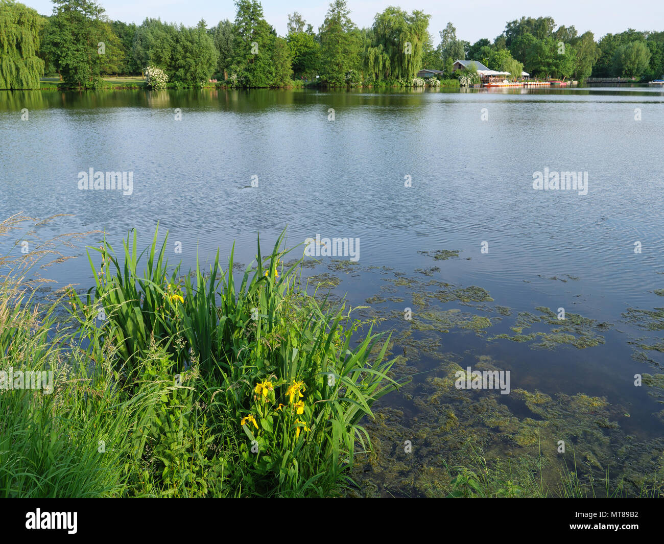 Lake in germany Stock Photo - Alamy