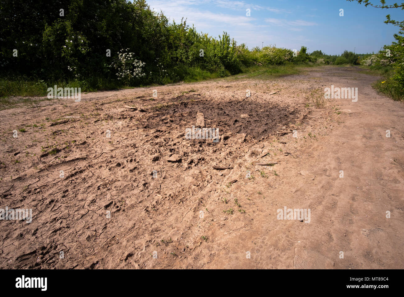 Puddle drying out hi-res stock photography and images - Alamy