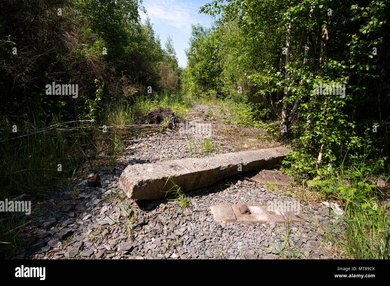 Concrete beam on a nature trail Stock Photo - Alamy