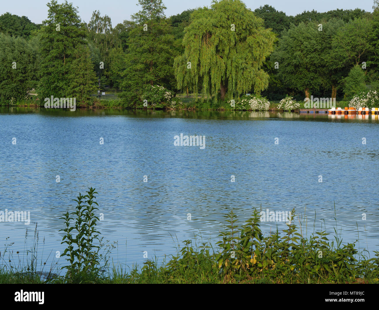 Lake in germany Stock Photo - Alamy