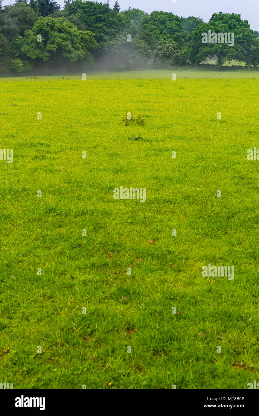 Farmers field boundary hi-res stock photography and images - Alamy