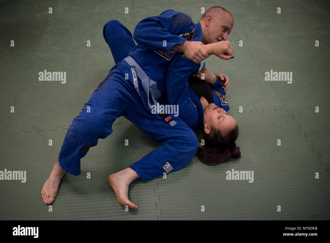 Chivers High Resolution Stock Photography and Images - Alamy