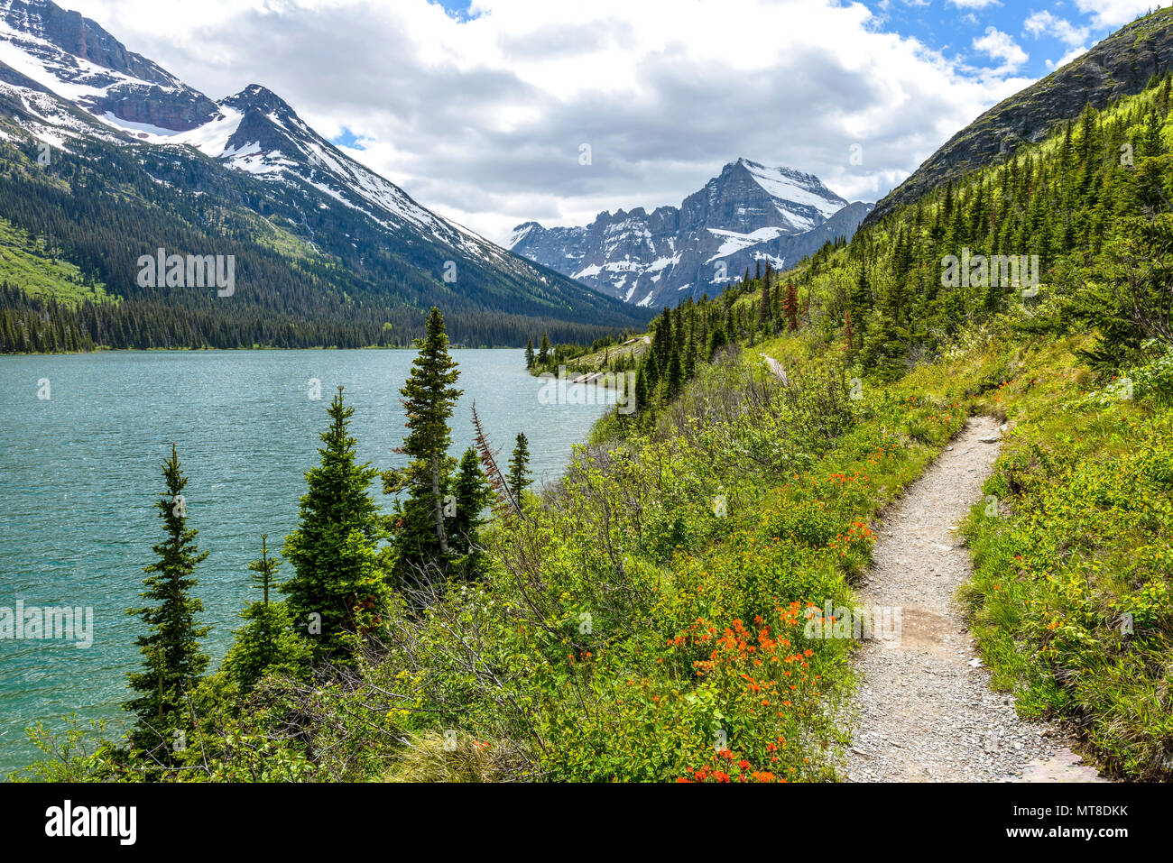 Spring Mountain Hiking Trail - A hiking trail winding towards Mount ...