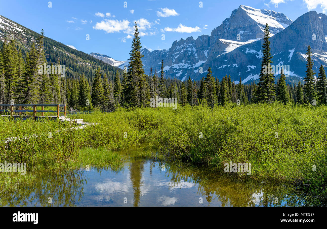 Spring Mountain - A close-up view of Mount Gould, Angel Wing and The ...