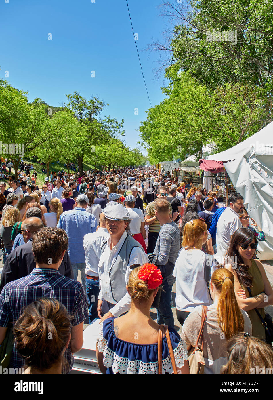 Saint san isidro labrador hi-res stock photography and images - Alamy