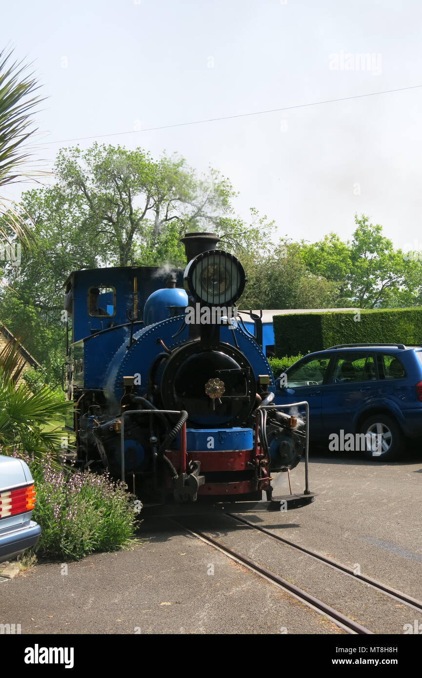 A bright blue steam engine on the garden railway at Adrian Shooter's ...