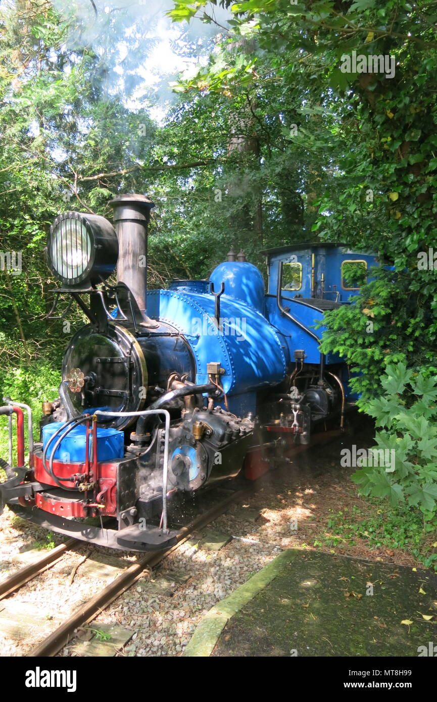 A bright blue steam engine on the garden railway at Adrian Shooter's ...