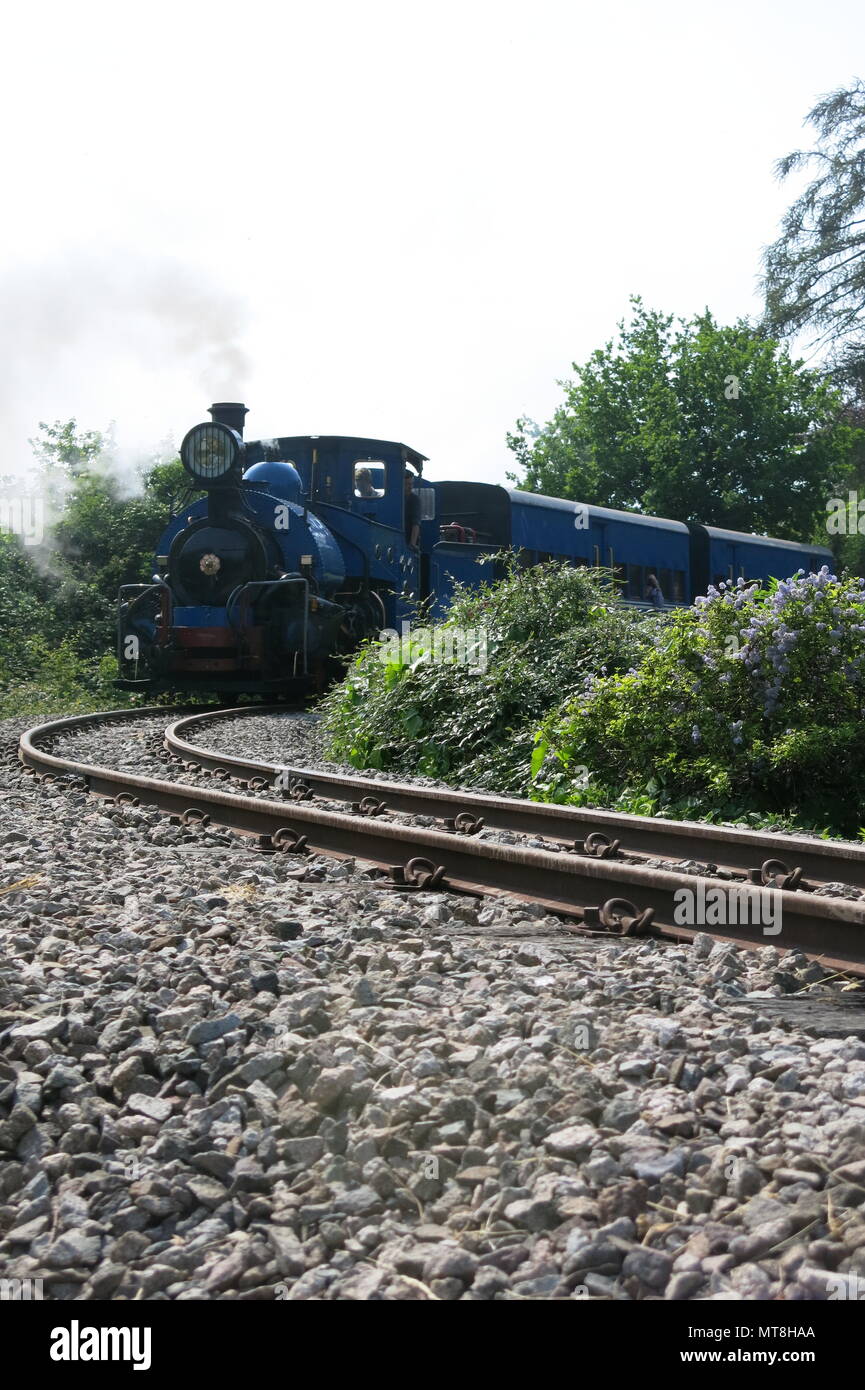 A bright blue steam engine on the garden railway at Adrian Shooter's ...