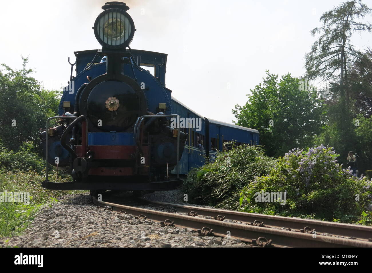 A bright blue steam engine on the garden railway at Adrian Shooter's ...