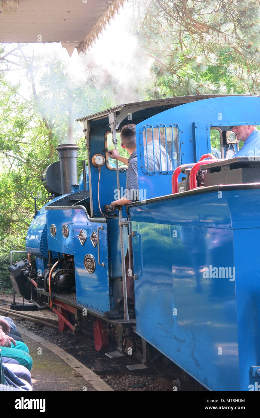 A bright blue steam engine on the garden railway at Adrian Shooter's ...