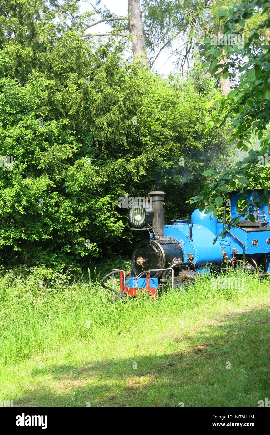 A bright blue steam engine on the garden railway at Adrian Shooter's ...