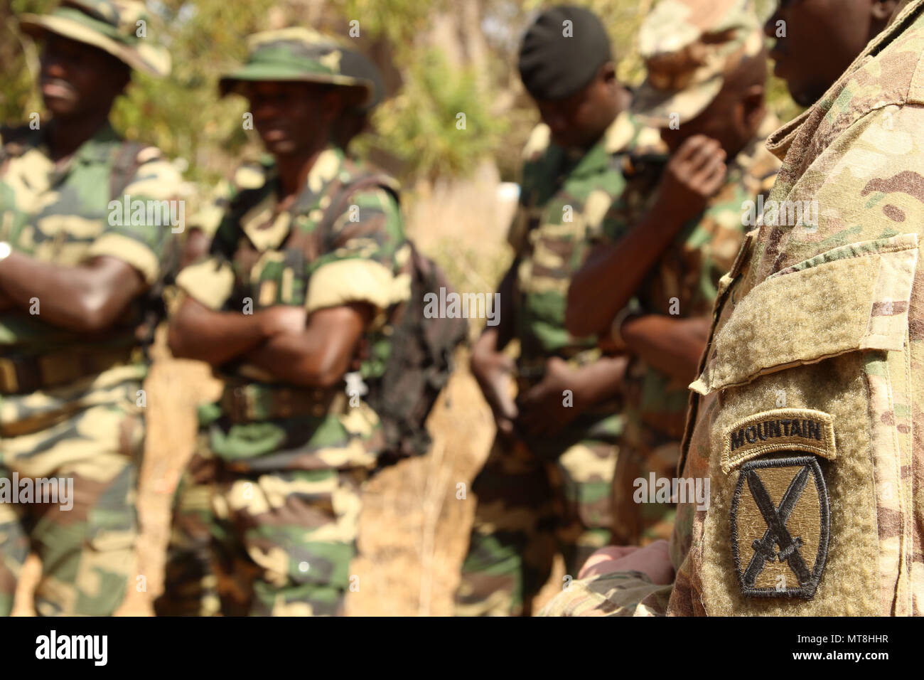 A close up picture of the 10th Mountain Patch. Soldiers from United ...
