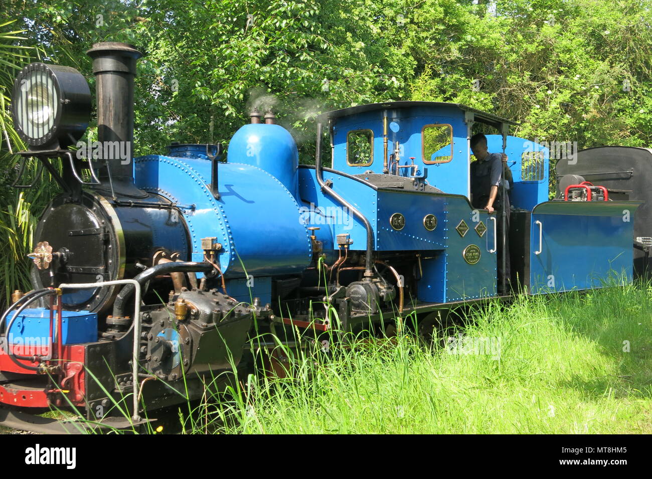 A bright blue steam engine on the garden railway at Adrian Shooter's ...