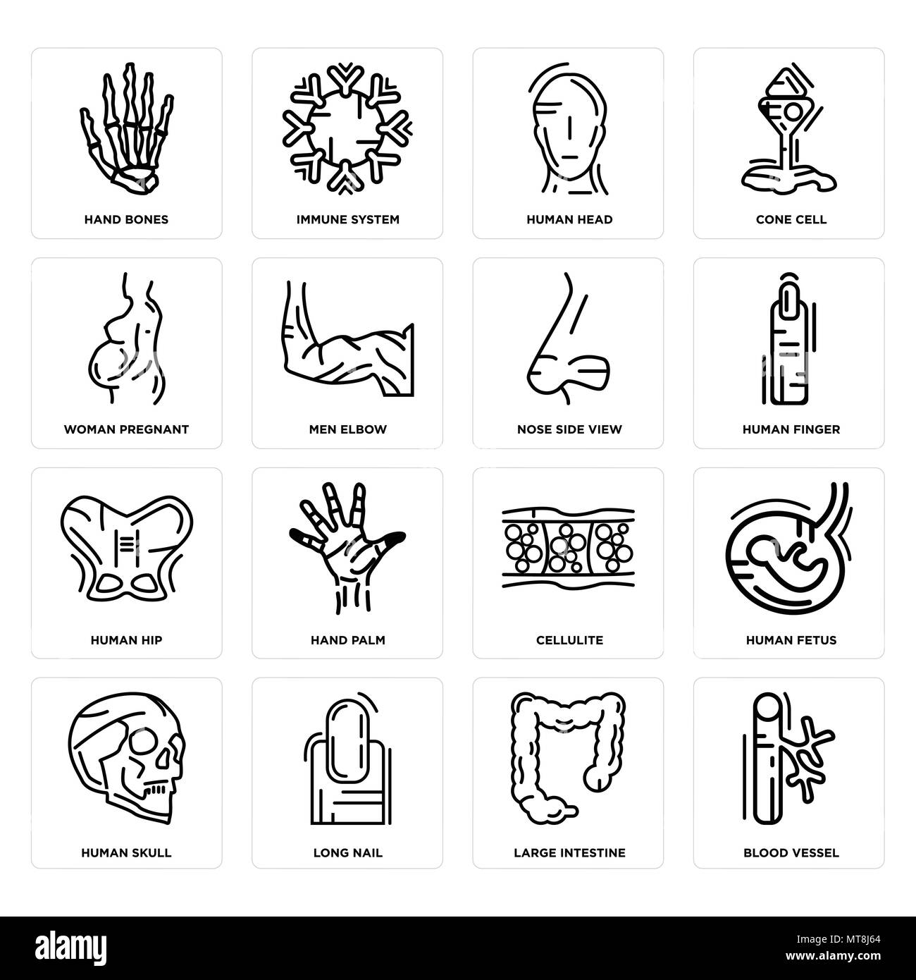 Side profile view long Black and White Stock Photos & Images - Alamy