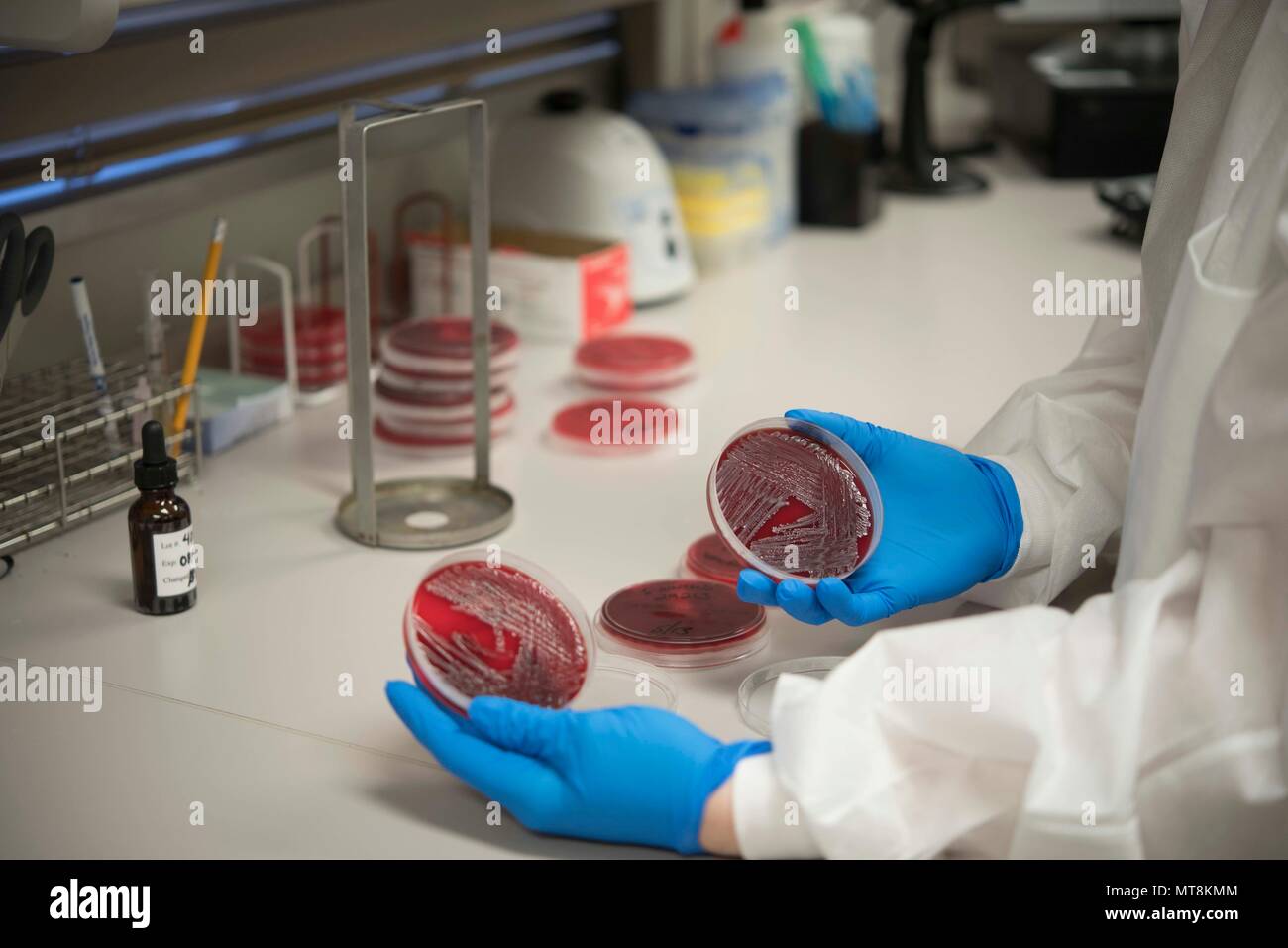 U.S. Air Force Staff Sgt. Renee Delgado, 18th Medical Group lab ...