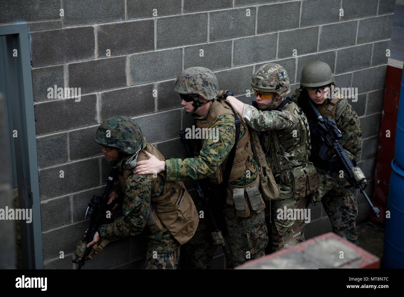 Royal engineer commandos hi-res stock photography and images - Alamy