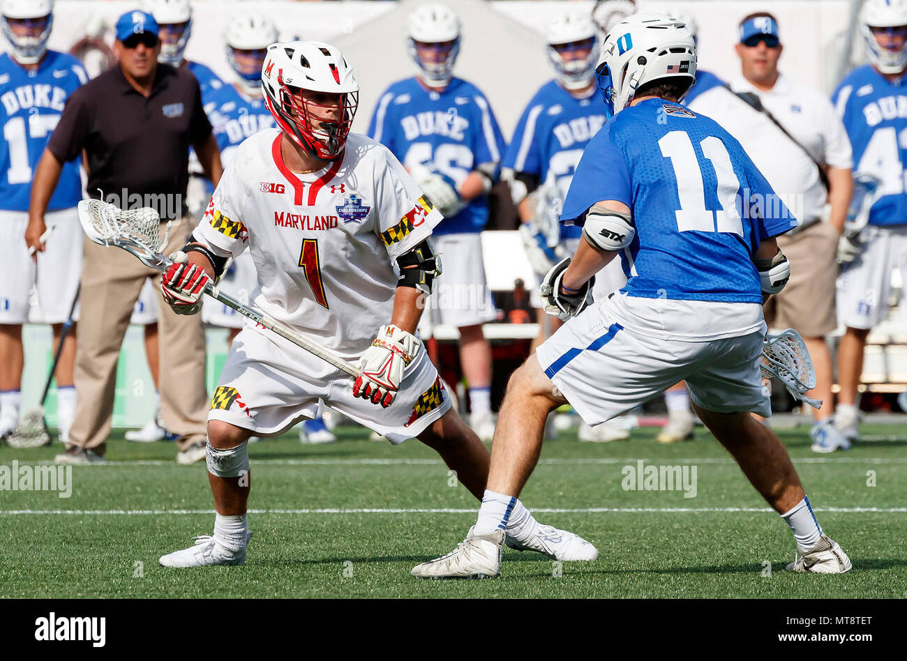 Terry lindsay hi-res stock photography and images - Alamy