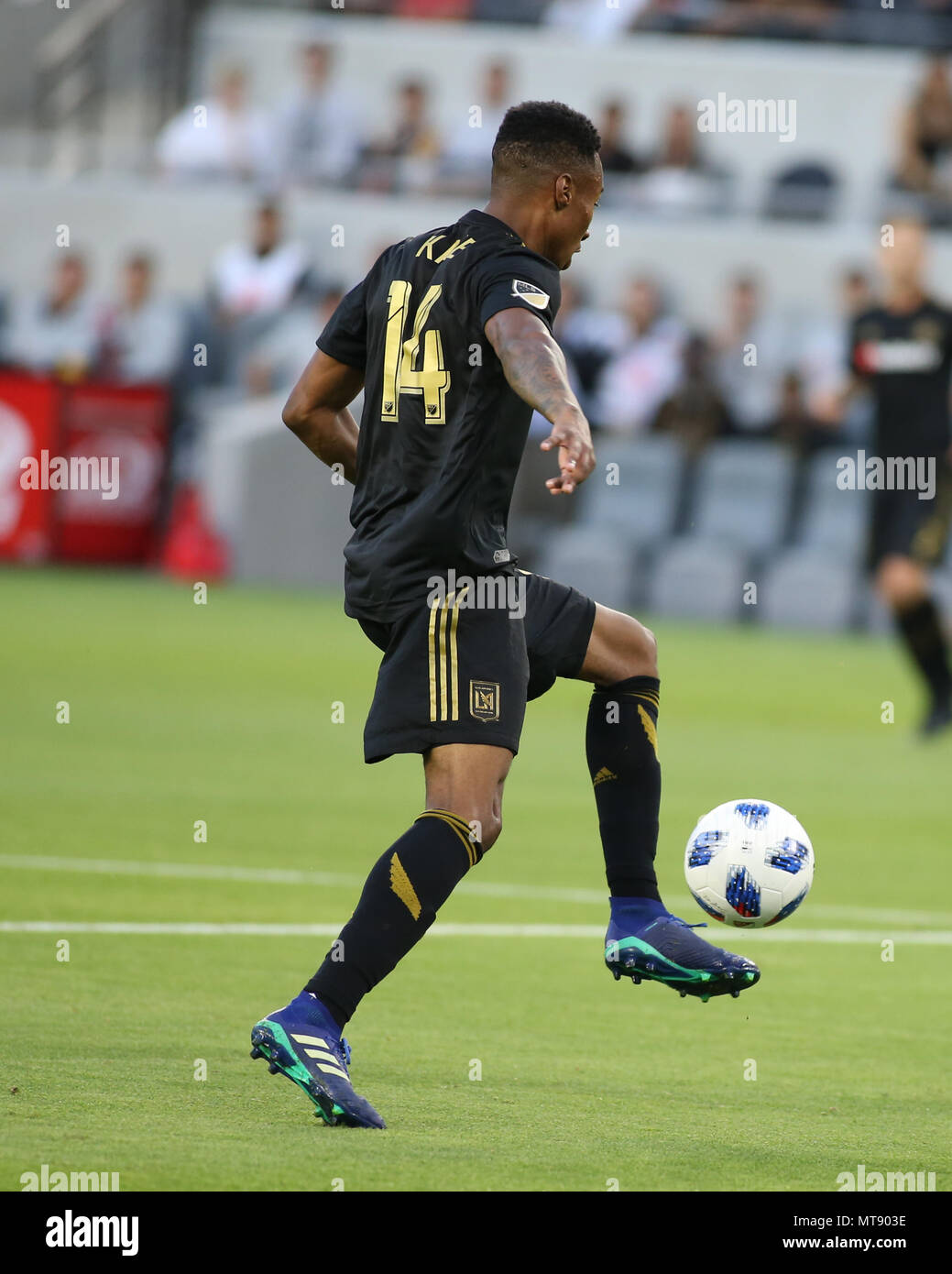 Kaye d hi-res stock photography and images - Alamy